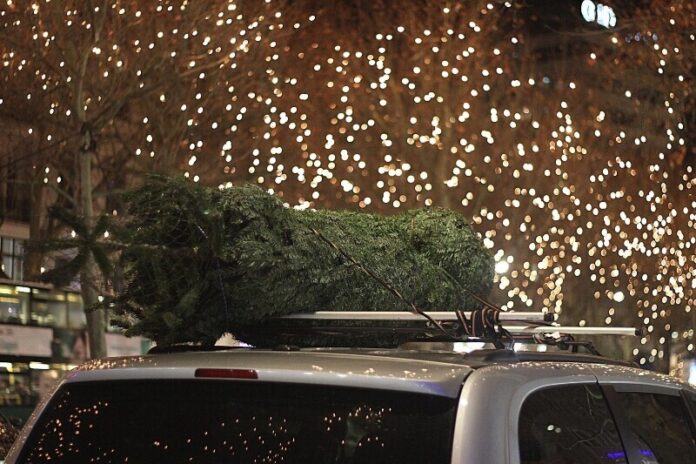 AAA: Secure Your Tree Before Driving It Home - Wilson County Source